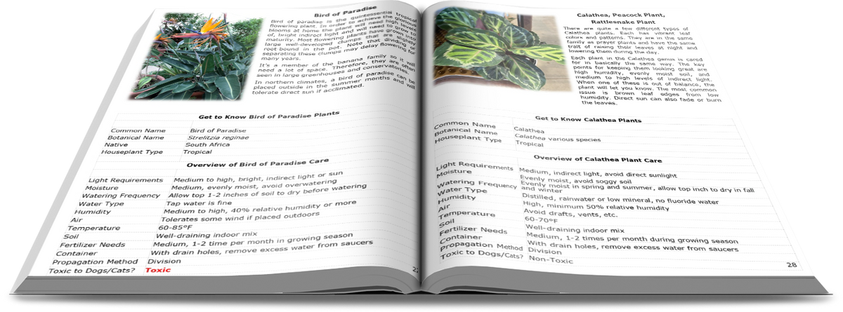 The Ultimate Indoor Plant Guide- Paperback Book – Trillium Living
